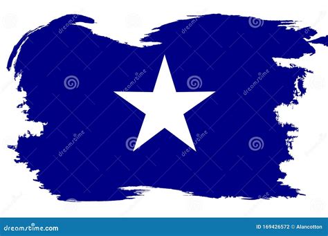 The Bonnie Blue Flag With White Grunge Border Vector Illustration