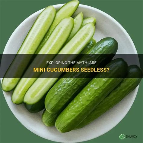 Exploring The Myth Are Mini Cucumbers Seedless Shuncy