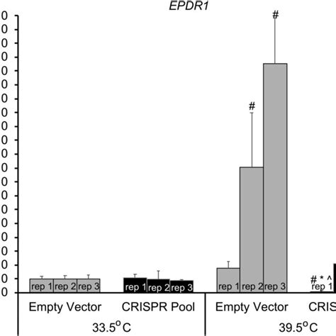 Rt‐qpcr Of Clustered Regularly Interspaced Short‐palindromic Repeat