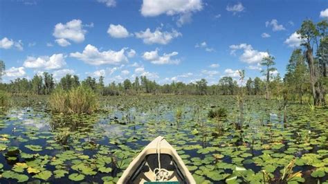 Its Okefenokee Swamp Day — Georgia Interfaith Power And Light