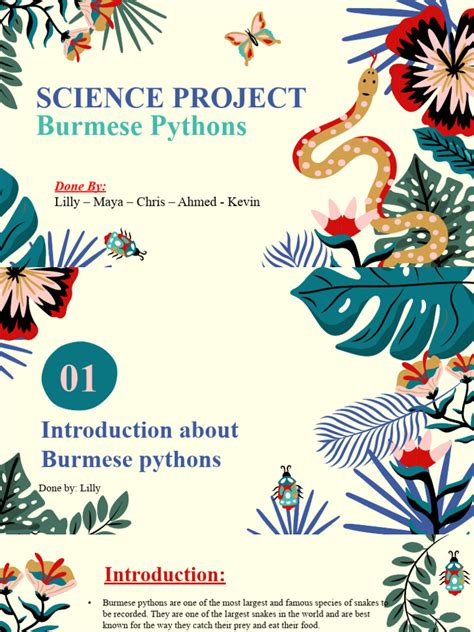 Lilly Maya Chris Kevin Ahmed 8a Burmese Pythons Pdf Predation