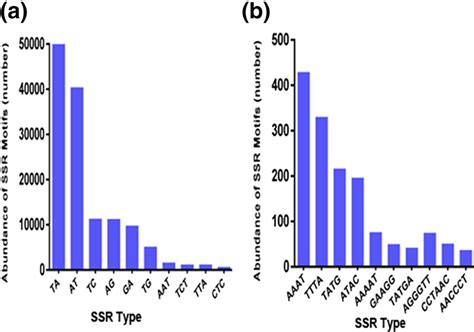 The Frequency Of Most Abundant Ssr Motifs In A Officinalis Whole Download Scientific Diagram