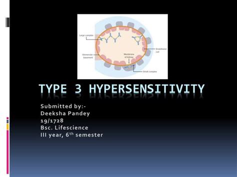 Type 3 Hypersensitivity 1728 Pptx