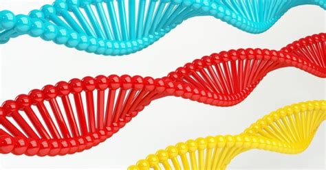 What Is Blast In Bioinformatics Simplified