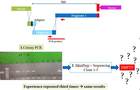 631 Questions With Answers In Ligation Scientific Method