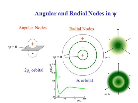 Radial Nodes And Planar Nodes Definition Formula And Questions