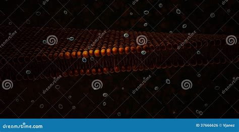 Plasma Membrane Of A Cell Stock Photo CartoonDealer Com