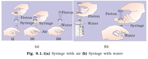 Lab Manual Class 9 Science Ncert With Solutions