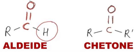 3 Differenze Tra Aldeidi E Chetoni In Chimica Organica Esercizi