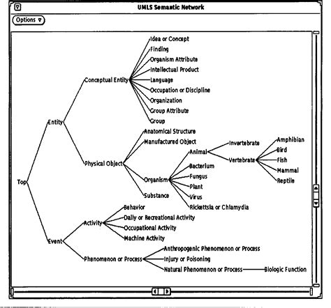 Figure 3 From Umls® Knowledge For Biomedical Language Processing