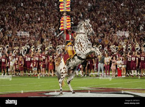 Florida State Seminoles Spear