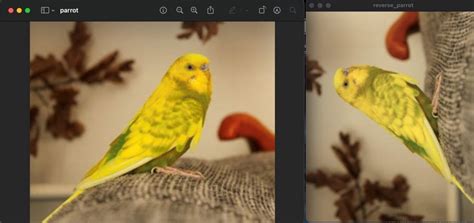 Open Cv Basic Image Processing Functions And Detection By Pranay