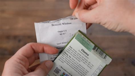 Seed Organizers My DIY Seed Storage Box System