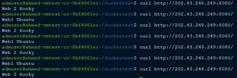 ServerStadium Load Balancer Solution To Distribute Load Equally