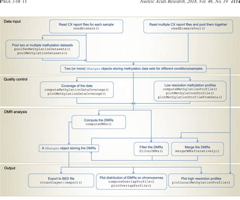 BS Seq Analysis Workflow Using DMRcaller Download Scientific Diagram