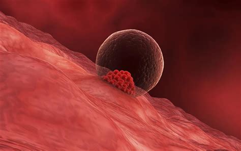 New Mims Table Comparing Levonorgestrel Releasing Intrauterine Systems Mims Online