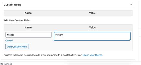 Wordpress Custom Fields 101 Tips Tricks And Hacks