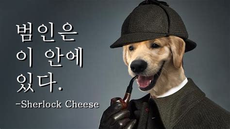 Eng 살인사건의 범인을 찾아라 범인은 이 안에 있다 골든리트리버의 미스테리 사건 Episode04 Youtube