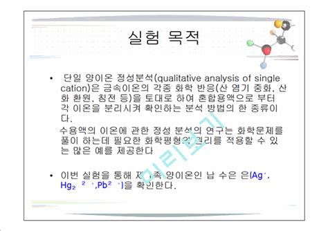 자연과학 화학실험 양이온1족의 정성분석물리화학실험과제
