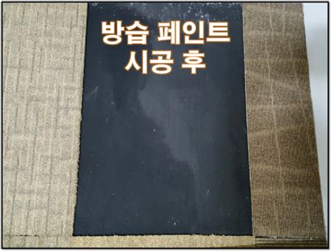 습기 차는 방바닥에 페인트는 아니 됩니다 방바닥 습기 방바닥 결로 방바닥 곰팡이 솔루션 네이버 블로그