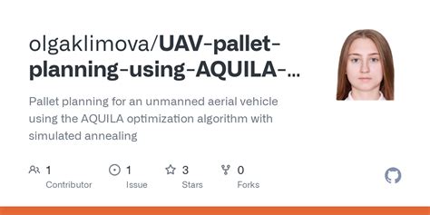 Github Olgaklimovauav Pallet Planning Using Aquila Algorithm With Sa Pallet Planning For An