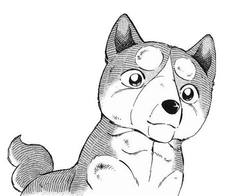 Ginga Render Suspecting Weed By Steeleaddict On Deviantart