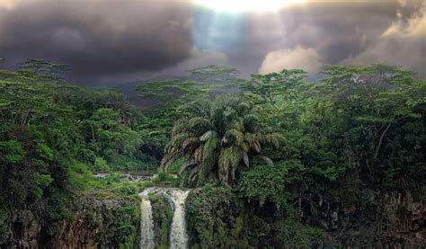Tropical Rainforest Wallpapers Top Free Tropical Rainforest Backgrounds Wallpaperaccess