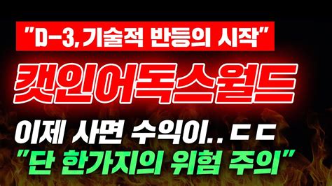 D 3기술적 반등의 시작 캣인어독스월드 이제 사면 수익이ㄷㄷ 단 한가지의 위험 주의 캣인어독스월드 Youtube