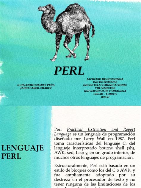 Perl Pdf Perl Lenguaje De Programación