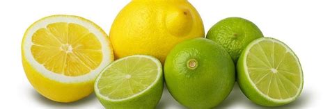 Zitrone Und Limette Bundeszentrum Für Ernährung Bzfe