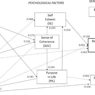 Path Model For The Sexual Norms Poland 2015 Arrows Represent The Download Scientific Diagram