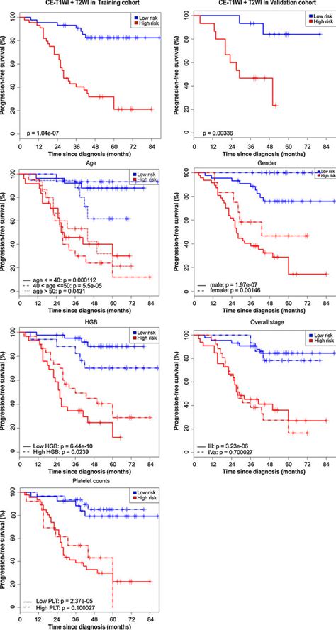 Stratified Analyses Were Performed To Estimate Progression Free Download Scientific Diagram