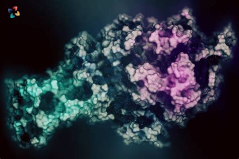 Mitochondrial Calcium Transport Linked To Autophagy In Calorie