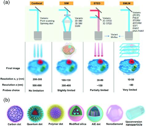 Fluorescence Microscopy Pros And Cons At Kevin Morel Blog