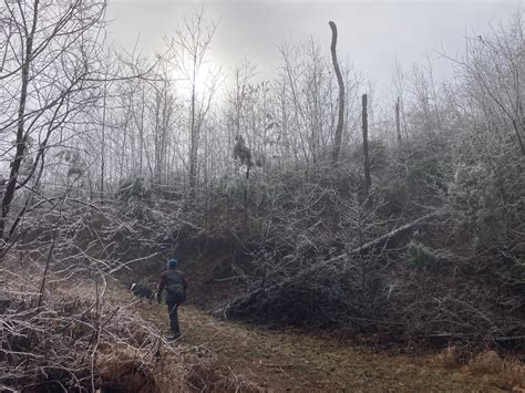 Photo Of The Day Ice Storm Morning