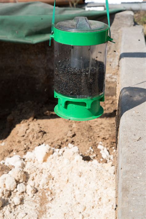 Predator Outdoor Fly Trap - Extra Large - Fly Experts - Pestrol Australia