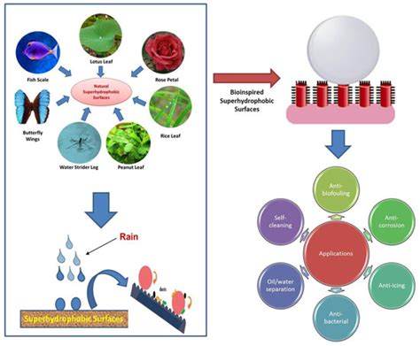 Up To Date Review Of Nature Inspired Superhydrophobic Textiles