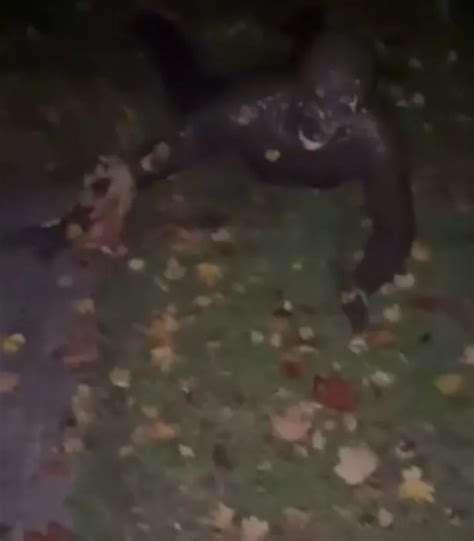 Gimp Suit Attacker Terrorised Locals Covered In Mud Because He Felt