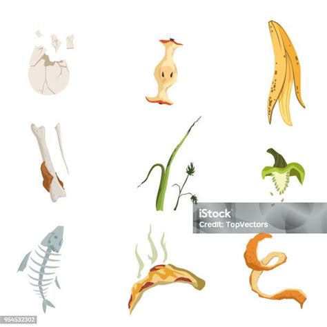 유기 쓰레기 과일 달걀 껍질 애플 스텁 버 릇된 슬라이스 피자의 껍질 음식 찌 꺼 기입니다 폐기물 재활용 및 쓰레기 분류의 평면 벡터 디자인 고추류에 대한 스톡 벡터 아트