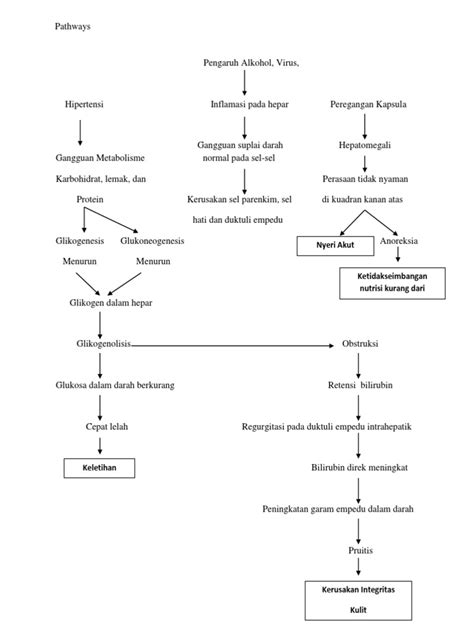 Pathway Hepatitis B Pdf