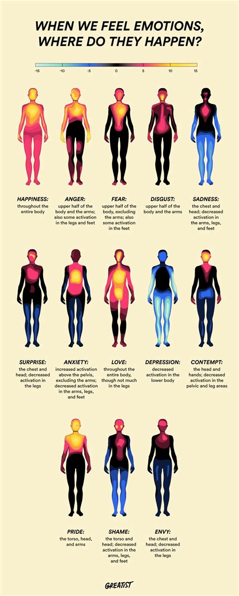 Emotional Body Chart Map Your Feelings And Find Balance
