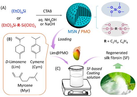 A Schematic Representation For The Synthetic Procedure Of Mesoporous