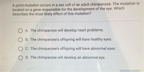 Solved A Point Mutation Occurs In A Sex Cell Of An Adult Chimpanzee