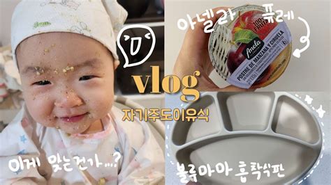육아 브이로그 7개월아기 시판이유식으로 자기주도이유식 도전블루마마 흡착식판방수턱받이아넬라퓨레정육각 Vlog Youtube