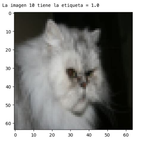 Construir Una Red Neuronal En Python Desde Cero