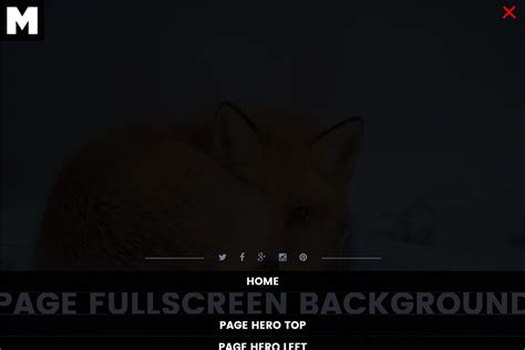 Minimalistapro Fast Angularjs Theme Creative Wordpress Photography