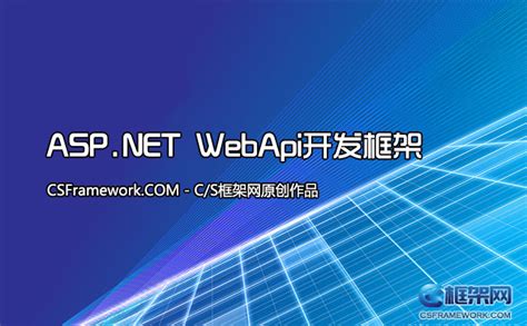 Net开发服务器服务端应用程序 Webapi后端开发框架cs框架网