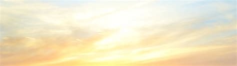 Safedock X Advanced Visual Docking Guidance System Adb Safegate