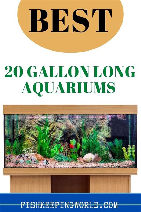 Check These Best Gallon Long Aquariums Gallon Long Aquariums Are