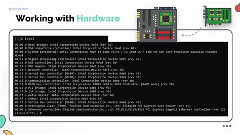 Kodekloud Mumshad Mannambeth Vijin Palazhi Learning Linux Basics
